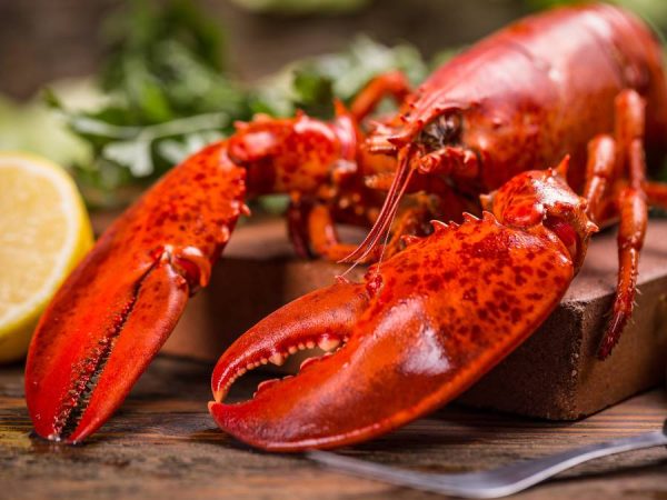 How To Cook Live Lobster At Home Perfectly